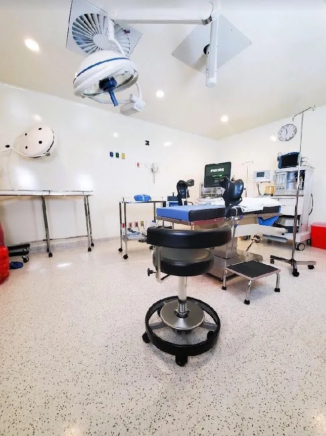 Donor Egg IVF Mexico City – High Success Rates & Trusted Donor Program